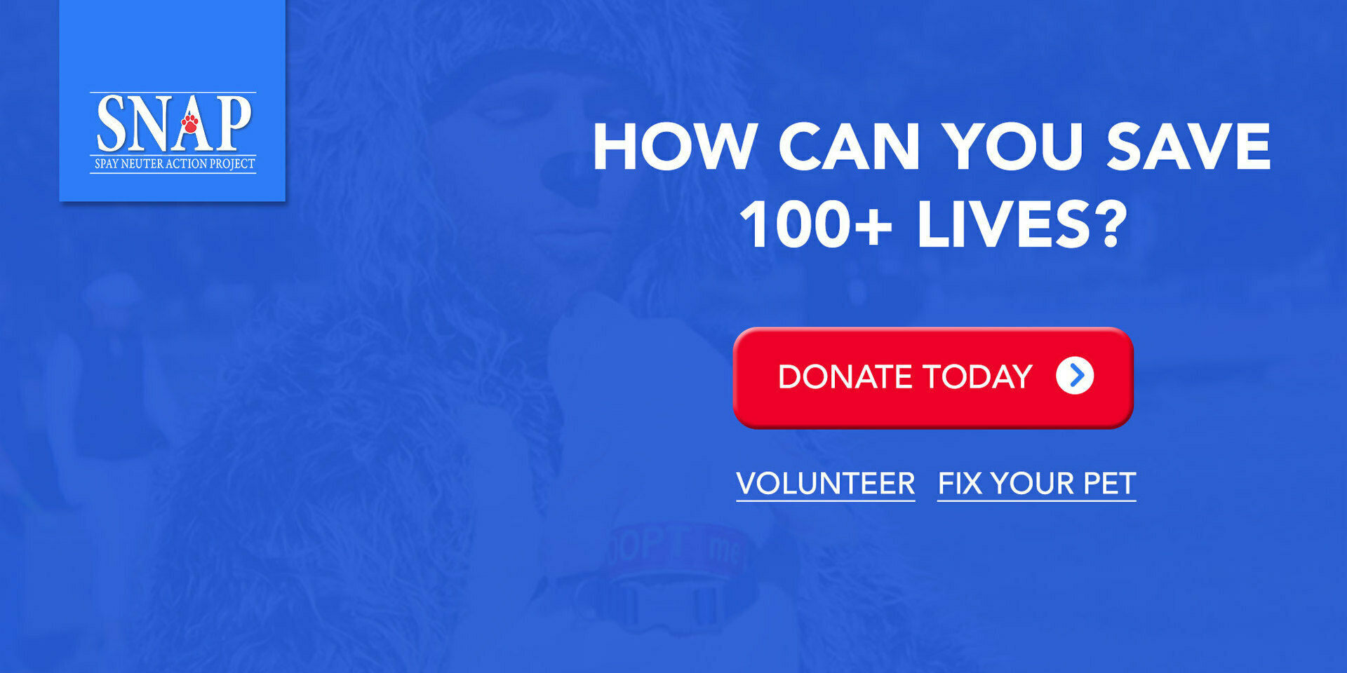 SNAP Spay Neuter Action Project | Donately