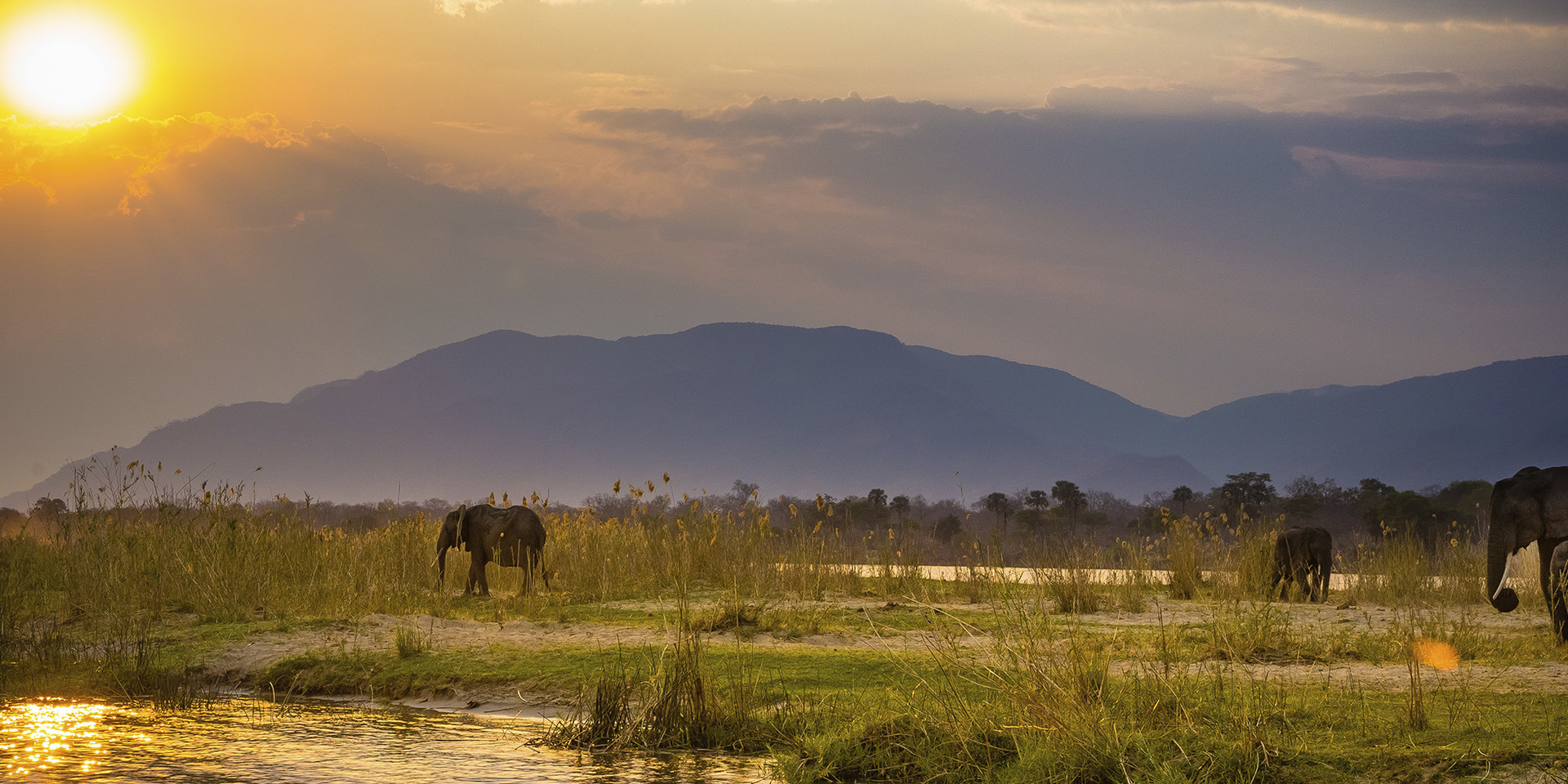 Community Markets for Conservation (COMACO) | Donately