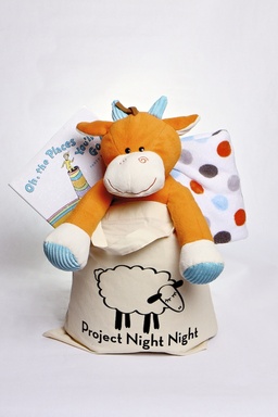 Project Night Night | Donately