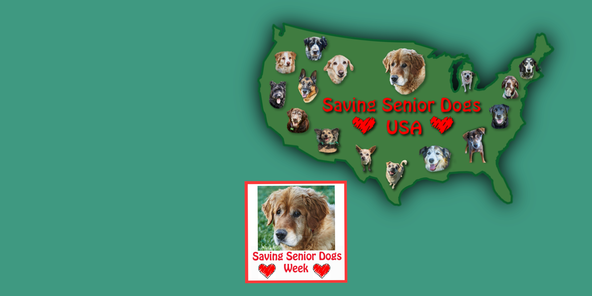 Saving Senior Dogs Week 2023 by Saving Senior Dogs Week | Donately