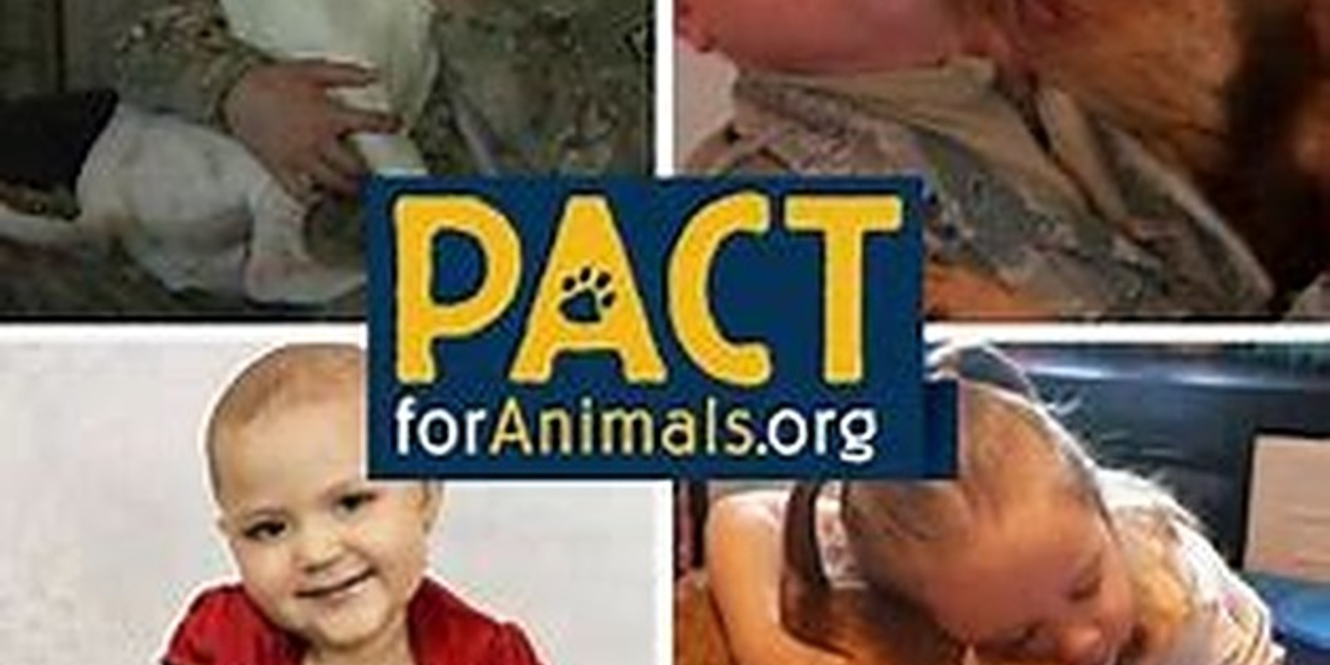 Join PACT for Animals in celebrating 12 years by PACT for Animals ...
