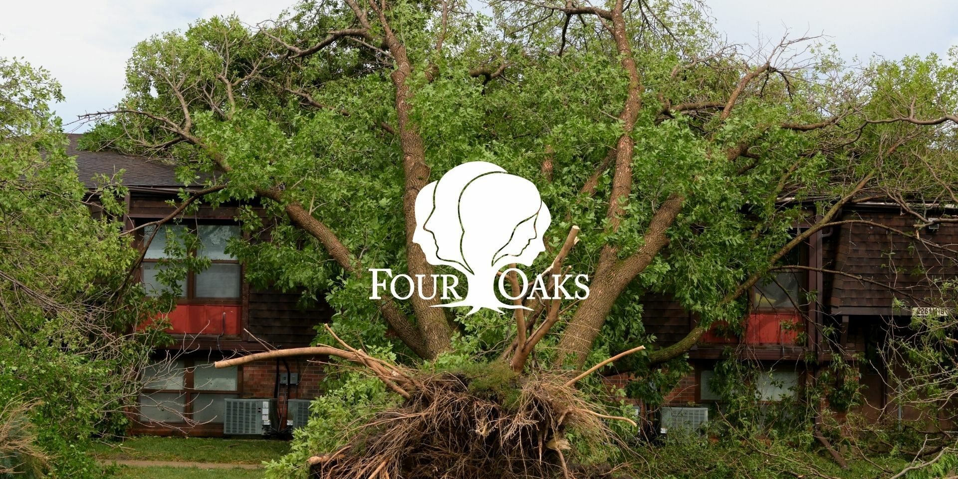 Four Oaks Enterprise | Donately