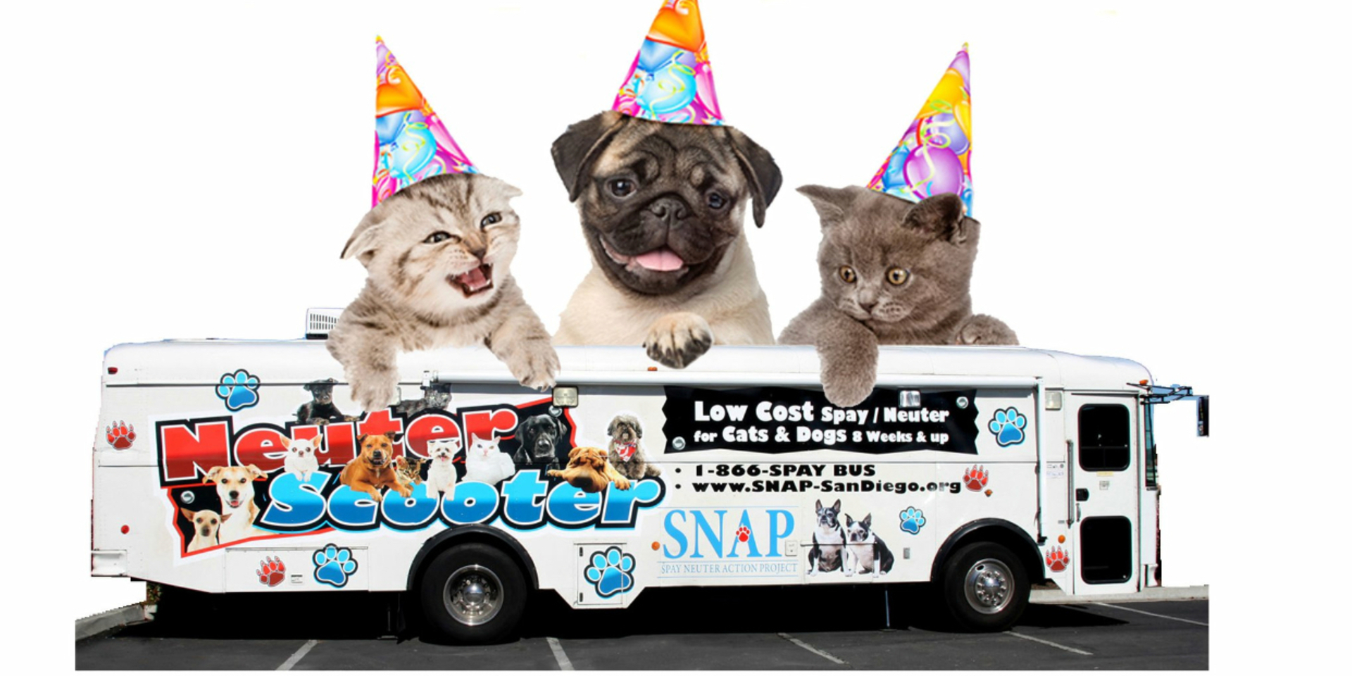 "Chipping Back" by SNAP Spay Neuter Action Project | Donately