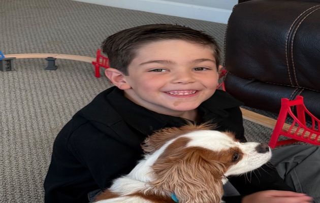 Run Devil Run by ASU Prep Poly PTSO